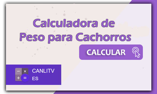 El Peso Ideal de Tu Cachorro: Guía y Calculadora Esencial